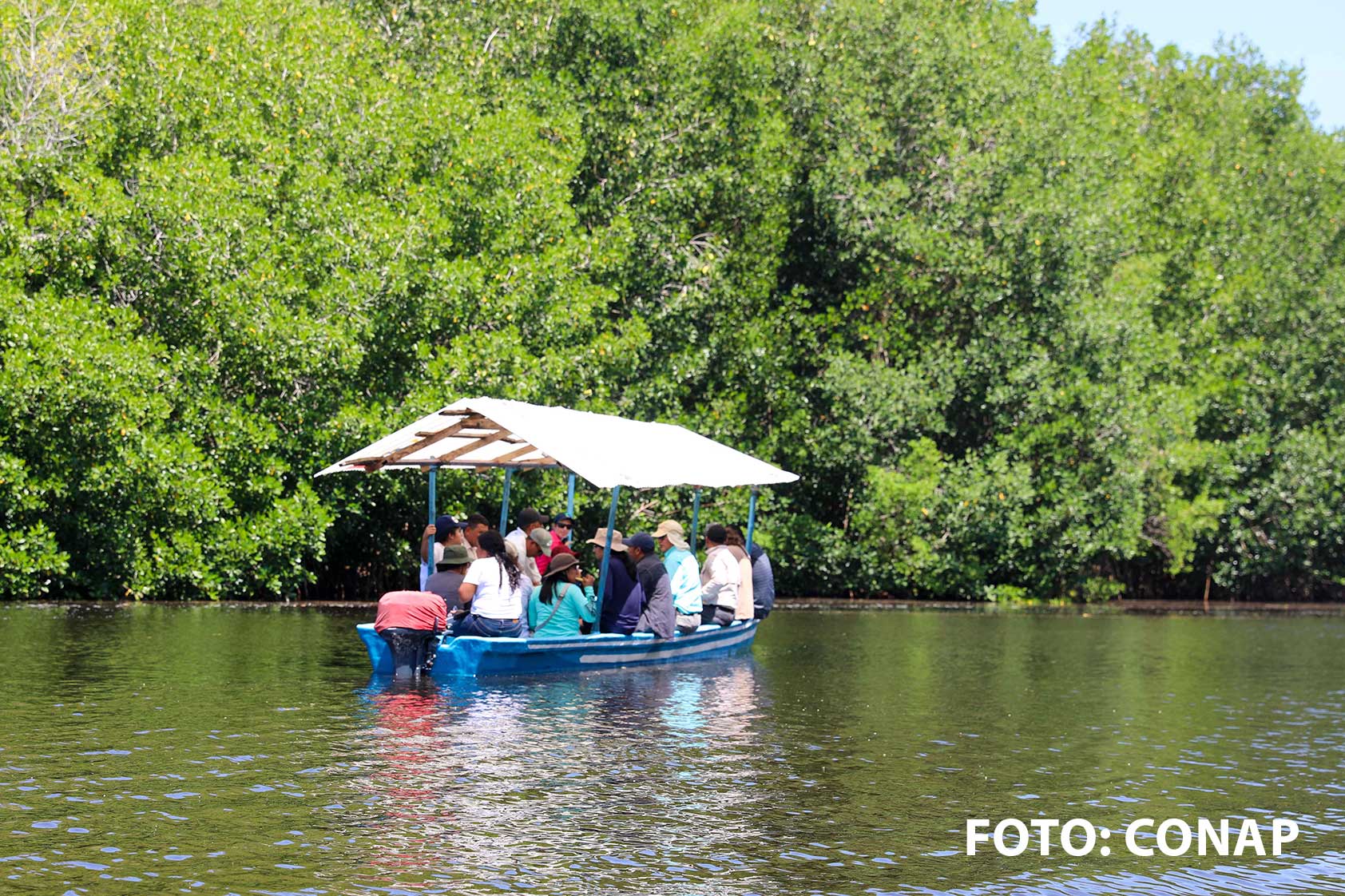 conocimiento local Archives | Actualidad UVG